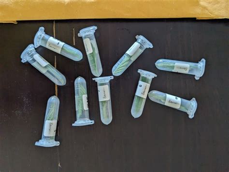 Daniel Fowler Phd On Linkedin Cannabaceaegarden 19 Comments