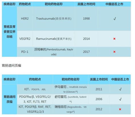 胃癌药物治疗（化疗or靶向or免疫）方案您得这样选！ 全球肿瘤医生网