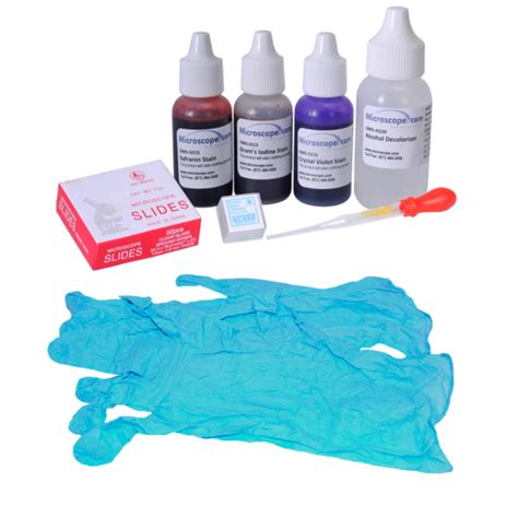 Gram Staining Kits At Myra Dealba Blog