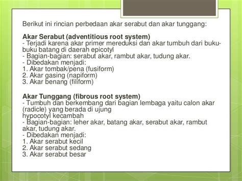 Contoh Akar Serabut Dan Akar Tunggang Berbagai Contoh