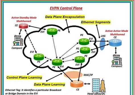 Ethernet Segment In Evpn All You Need To Know The Network Dna
