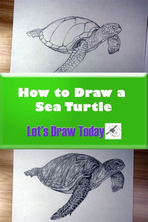 How To Draw A Sea Turtle Step By Step Artofit