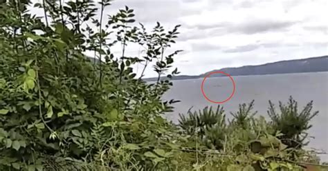 Loch Ness Monster Caught On Camera Twice In Two Weeks In Record