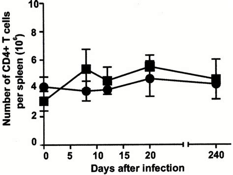 The Cd4 T Cell Population Is Not Depleted During Lcmv Infection B6
