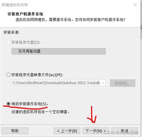 Vmware虚拟机安装kali系统kali Linux分配多少内存 Csdn博客