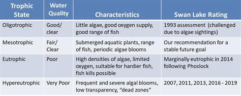 Water Quality Friends Of Swan Lake Park