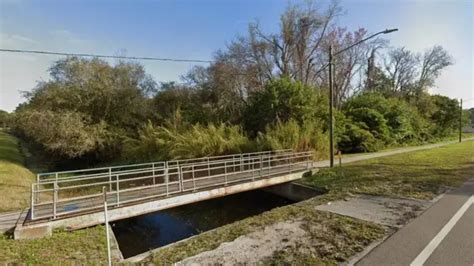 Florida Police Kill 13ft Alligator Dem Find Woman Body For Im Jaw Bbc