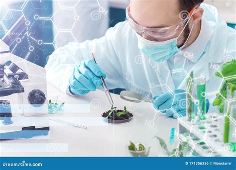 Naukowcy Pracujący Z Roślinami W Nowoczesnym Laboratorium Zdjęcie Stock
