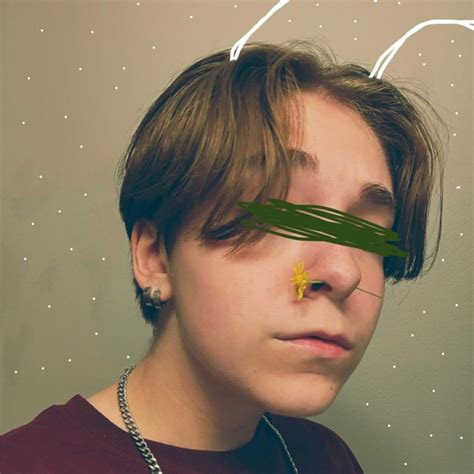 Lacewing Albums Songs Discography Album Of The Year