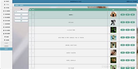 Springboot毕设 宠物医院网站的设计与实现 程序论文 Csdn博客