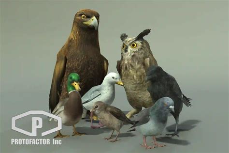 Birds Pack 2 1 Game Assets Free