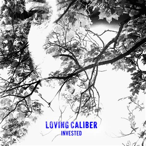 Loving Caliber Say We Re Sorry Lyrics Genius Lyrics