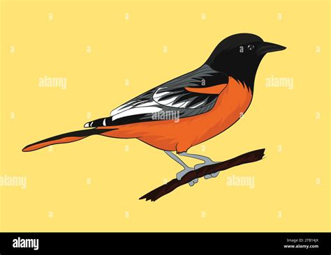 North Bird Stock Vector Images Alamy