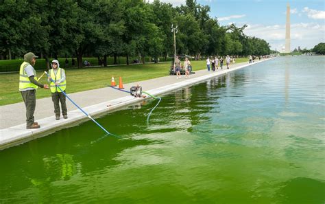 Trump Spent 14m Us To Make Reflecting Pool Look Blue Now The Water Is Green Cbc News