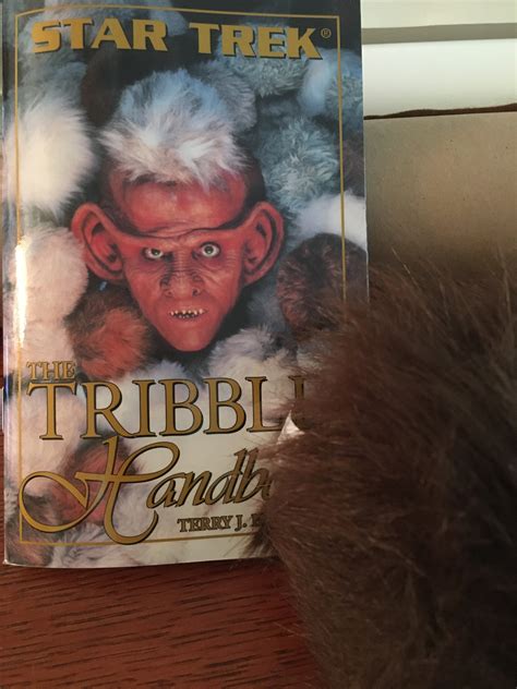 Star Trek Tribble With Sound With The Tribble Handbook Etsy