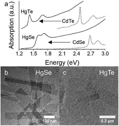Band Edge Excitons And Amplified Spontaneous Emission Of Mercury