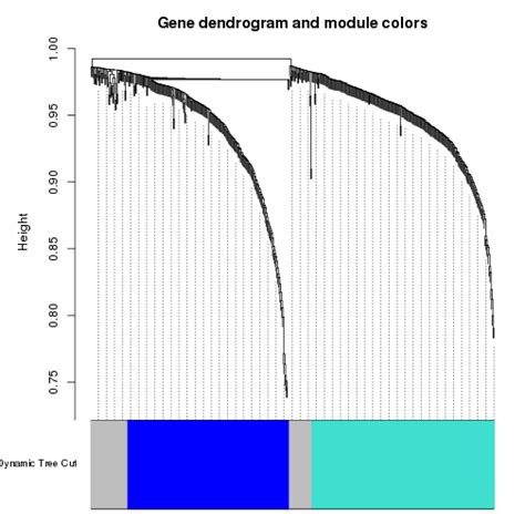 WGCNA Tutorial Single Cell Workshop
