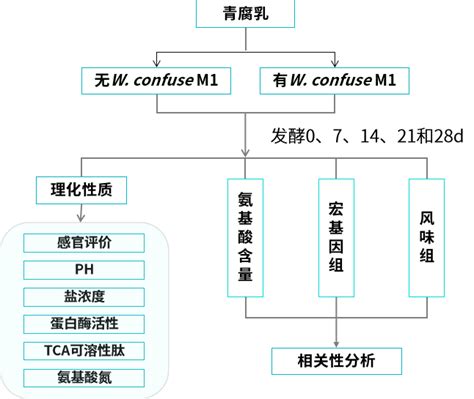 【派森诺多组学文章】青腐乳发酵研究新思路——宏基因组风味组揭示发酵过程中挥发性成分和微生物群落的影响 知乎