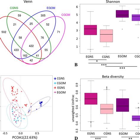 The Schematic Representation Of Bioinformatic Analysis Download
