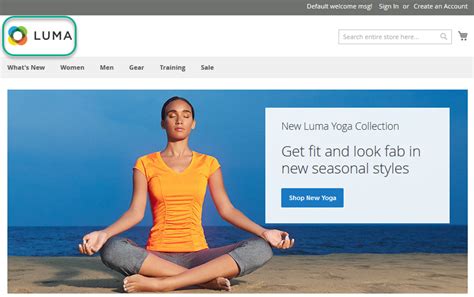 How To Change The Logo In Magento 2 5 Minutes
