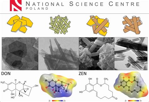 Update Please Check Detailed Information On The Phd Position On Our