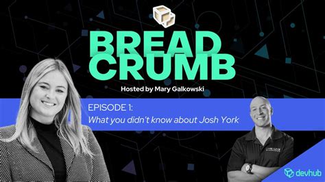 What You Didnt Know About Josh York