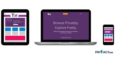 7 Best Vpns For Tor Browser In 2025 Do You Need One