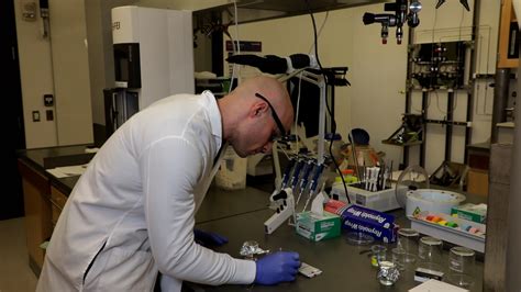 Video Fabricating Graphene Coated Cryo Em Grids Using Grid Sized Mma