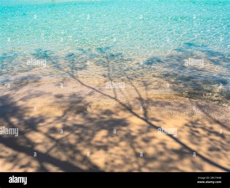 Bright Beach Background With Clear Aqua Sea Water And Wave Surf On