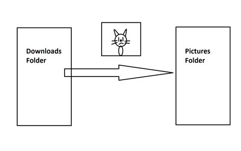 move downloaded pictures from the downloads directory into another