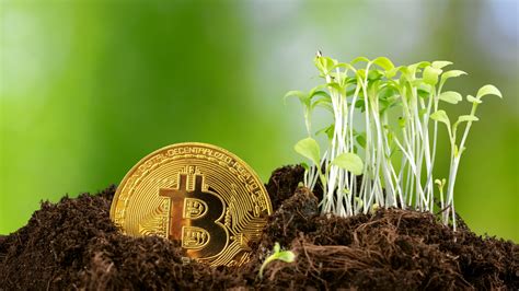 How To Address Risks Of Legal Liability In Bitcoin Mining Operations Bitcoin Mining Academy