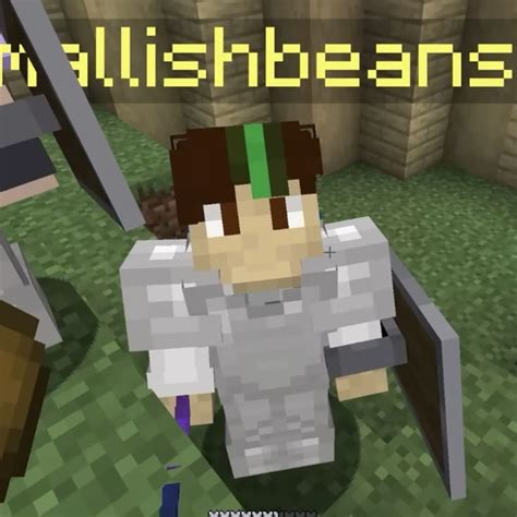 Smallishbeans Minecraft Youtubers Double Life Fan Art