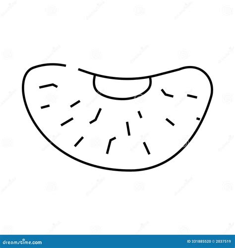 Wedge Mandarin Clementine Line Icon Vector Illustration Stock Illustration Illustration Of