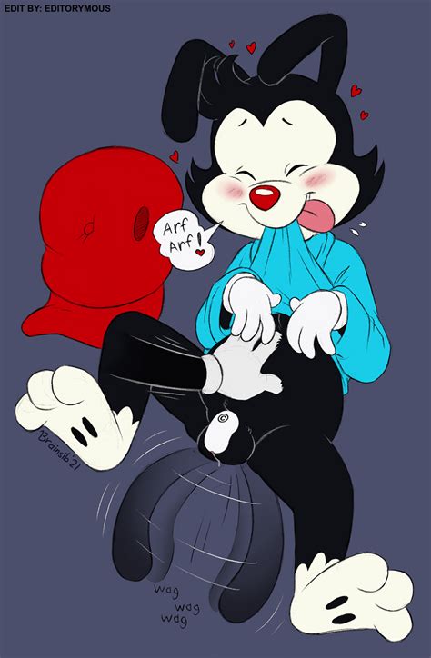 Post 5924567 Animaniacs Brainsister Edit Editorymous Wakkowarner