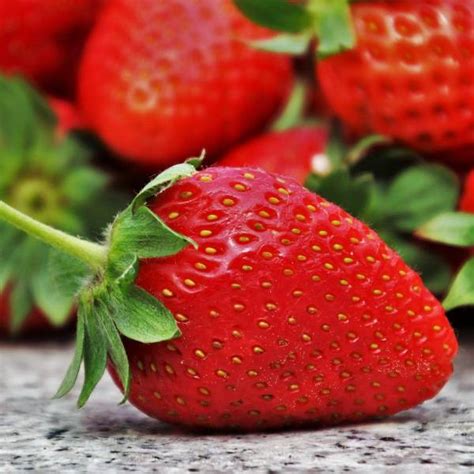 Sabías que los puntos de las fresas no son semillas Conoce qué son y