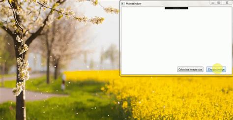 C Get The Size Of A Displayed Image Inside A Wpf Imagecontrol Stack Overflow