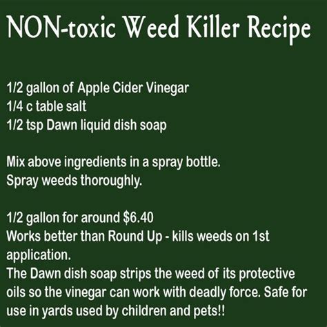 Cheap Easy Diy Weed Killer Artofit