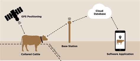 Unlocking The Conservation Potential Of Virtual Fencing Perc