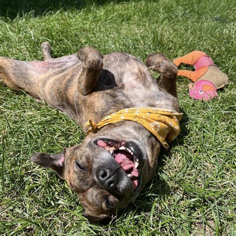 Hydee N2 Physical Therapy