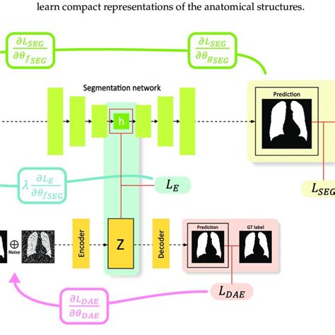 Architecture of the denoising convolutional autoencoder (DAE ...