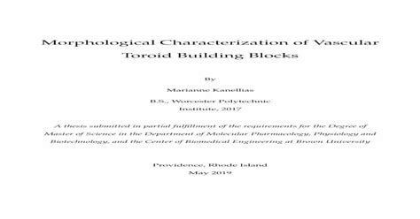 Pdf Morphological Characterization Of Vascular Toroid Building