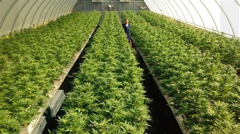 Bc Craft Farmers Co Op On Linkedin Farmers Co Op Champions Small