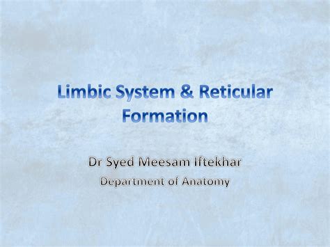 Solution Limbic System Reticular Formation Studypool