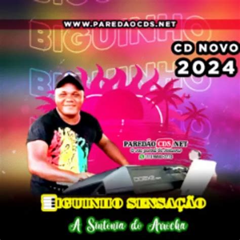 BIGUINHO SRNSAÇÃO A SINTONIA DO ARROCHA CD NOVO SILVANO SALES PABLO TAIRONI Brega Sua