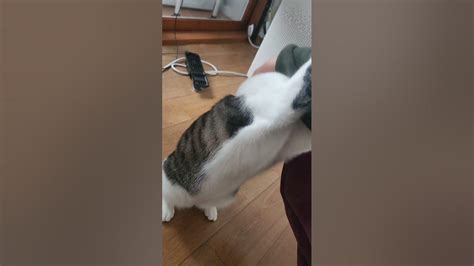 조기교육의 필요성 Youtube