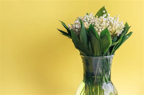 복사 공간이있는 밝은 노란색 배경에 유리 꽃병에 녹색 잎에 계곡의 흰색 백합의 섬세한 꽃다발 0명에 대한 스톡 사진 및 기타