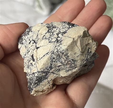 Is This A Metamorphic Igneous Or Sedimentary Rock R Whatsthisrock