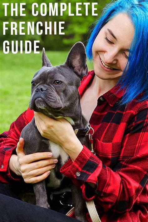French Bulldog Breed Information Center The Complete Frenchie Guide