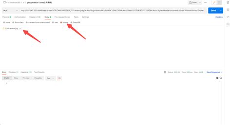 Fetch使用put请求提交文件，postman使用put请求提交文件fetch 上传文件 Csdn博客