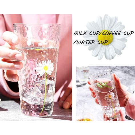 Highball Glasseskitchen Glassware Everyday Drinki Vicedeal